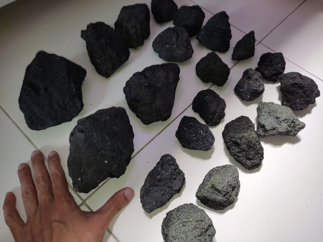 black lava rocks for aquascape terrarium paludarium vivarium planted ...