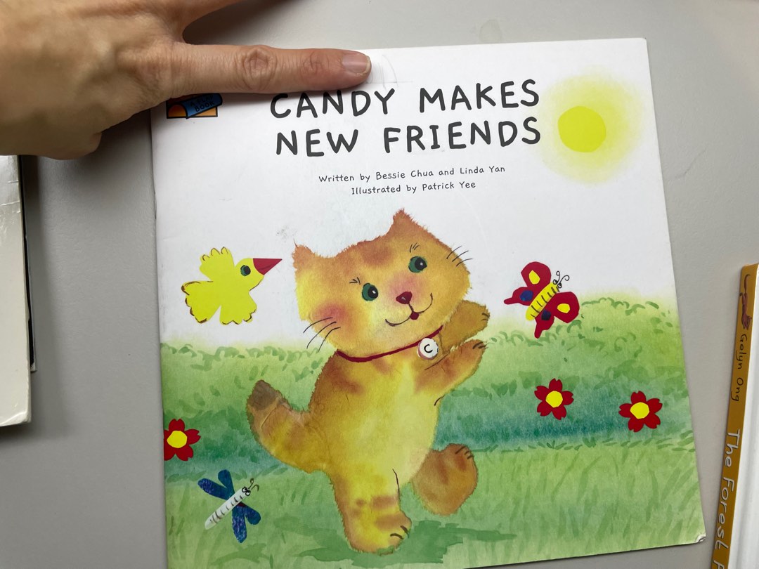 FLAIR program Storybooks (K1/K2), Hobbies & Toys, Books & Magazines ...