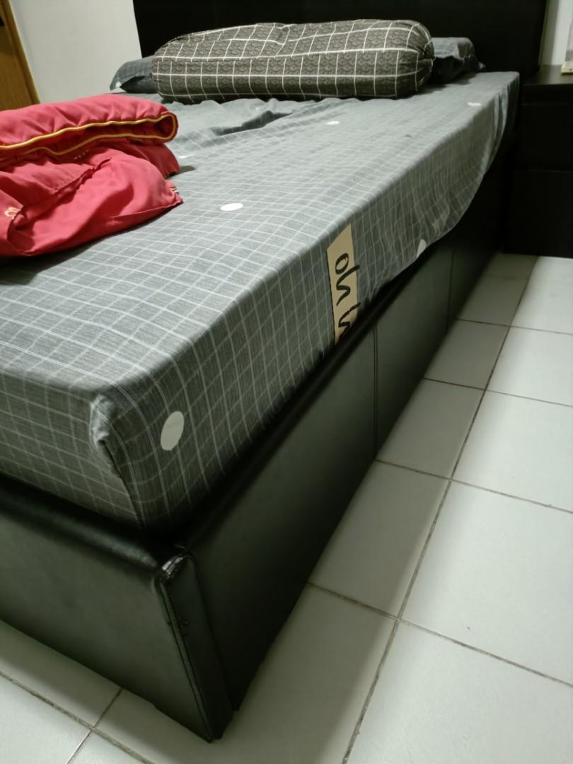 Foster Queen Sized Storage Bed Frame, Furniture & Home Living ...