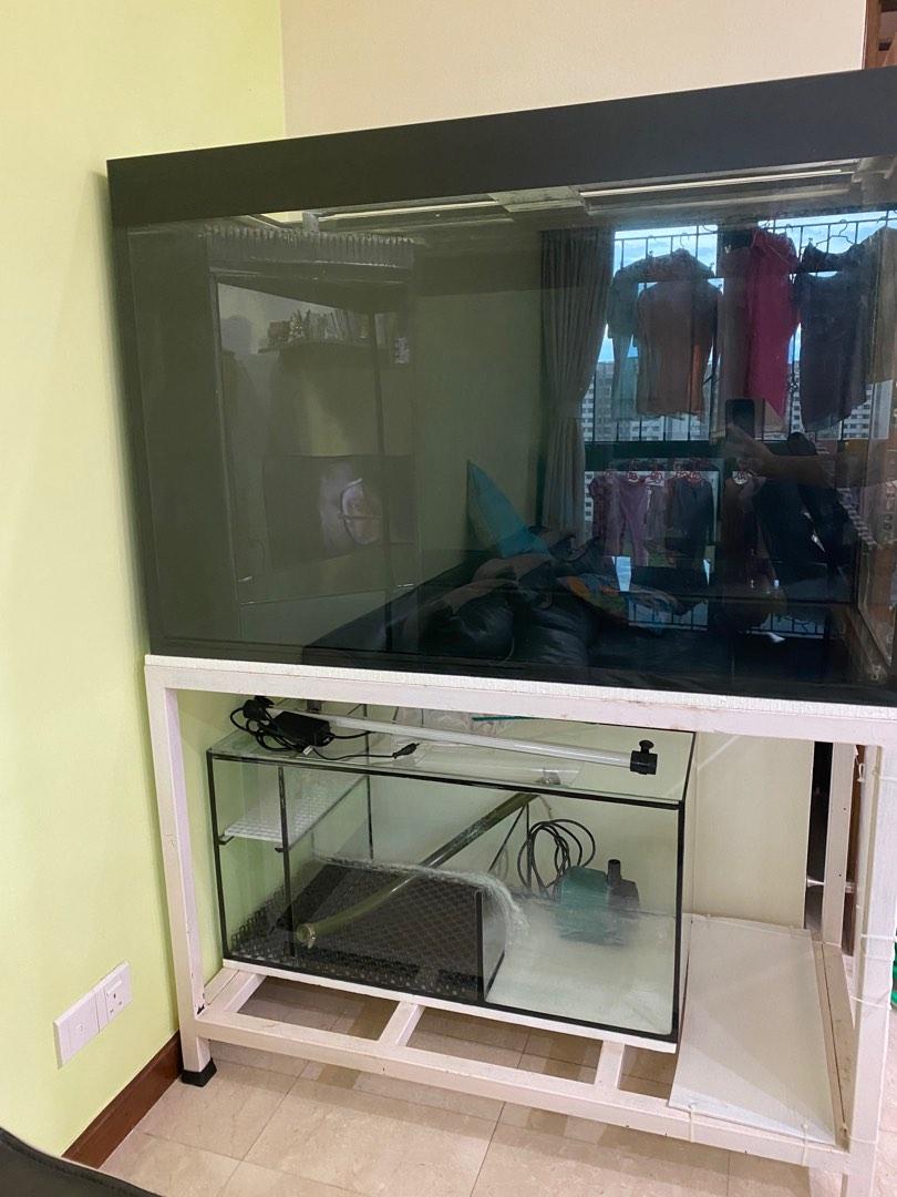 Full set 4ft Fish Tank with Sump Tank, Pet Supplies, Homes & Other Pet ...