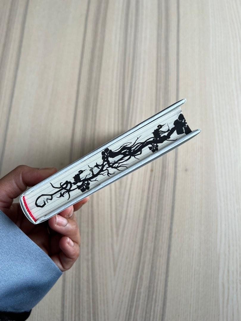 Gallant by VE Schwab Illumicrate special edition, Hobbies & Toys, Books & Magazines, Storybooks ...