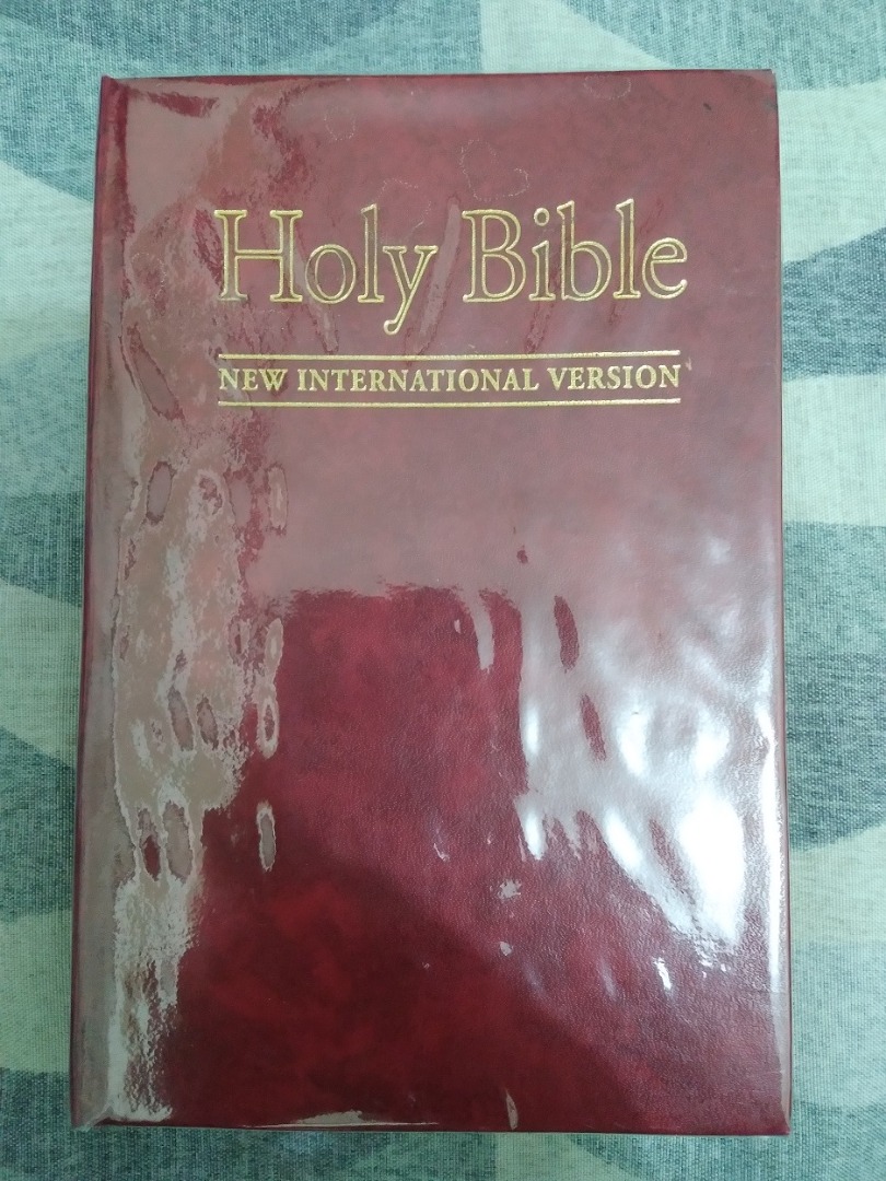 Holy Bible: New International Version 1984, Hobbies & Toys, Books ...
