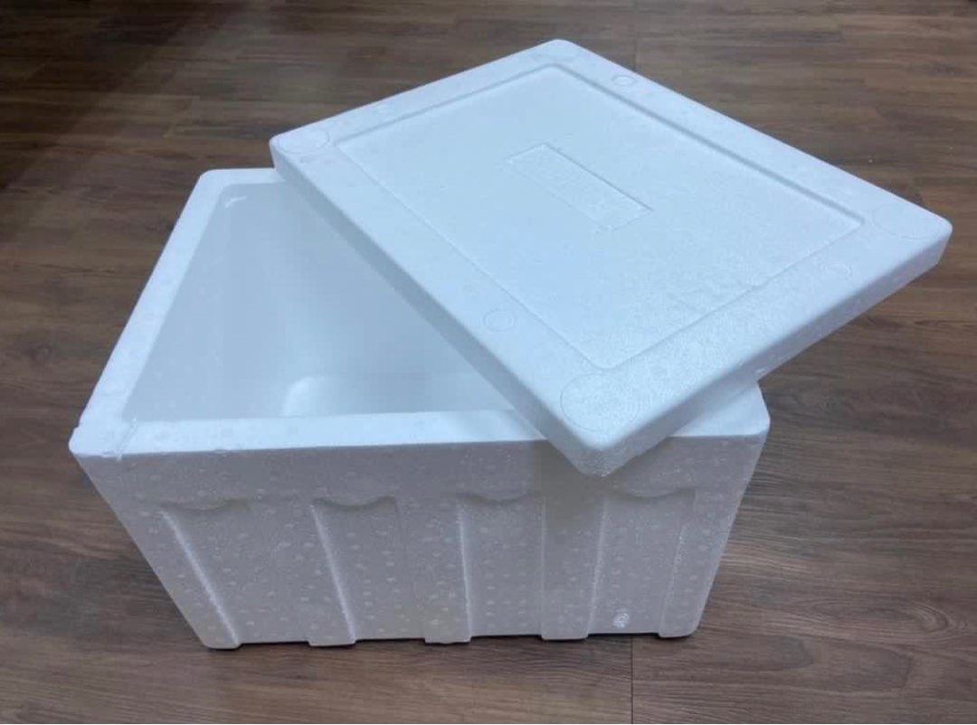 Ice Box (Big Size), Furniture & Home Living, Kitchenware & Tableware ...
