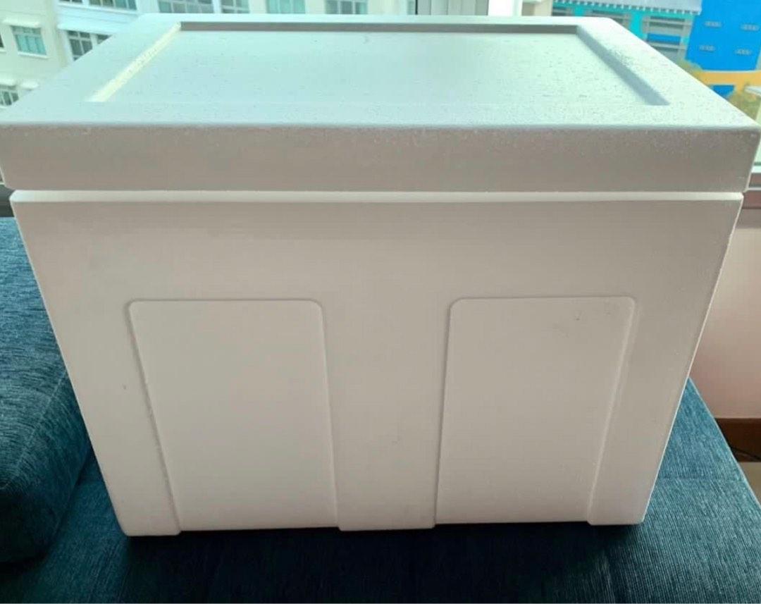 Ice Box (Big Size), Furniture & Home Living, Kitchenware & Tableware ...