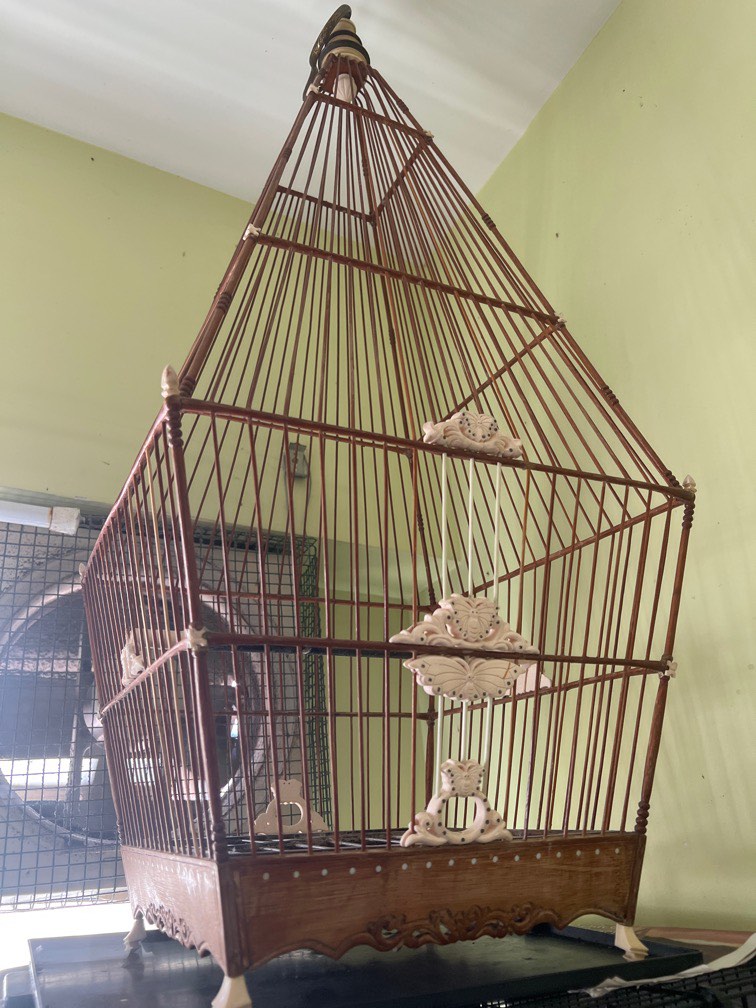 jb cage, Pet Supplies, Homes & Other Pet Accessories on Carousell