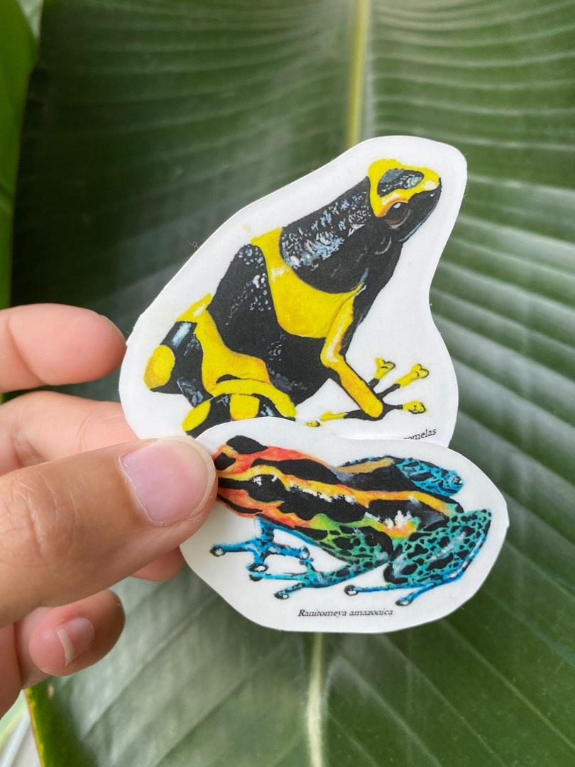 Poison dart frog and sleeping tiger waterproof sticker decal for bottle ...