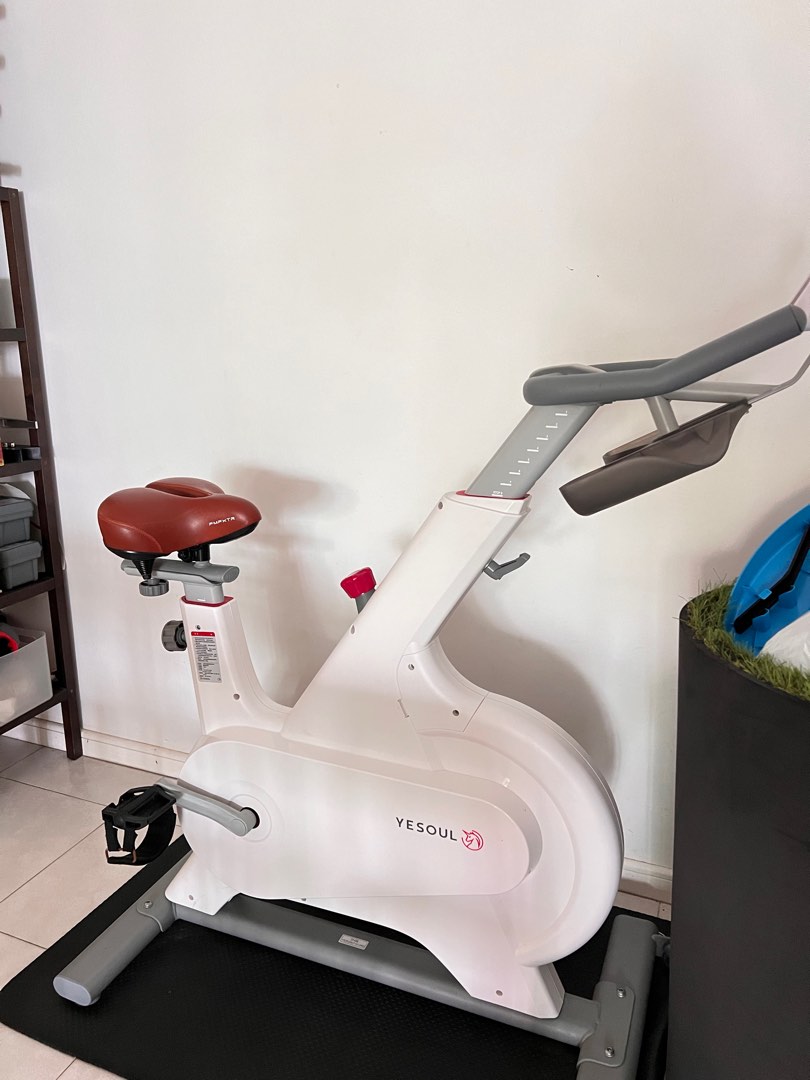 Yesoul M1 Spin Bike+6.5kg Flywheel + Magnetic Resistance, Sports ...