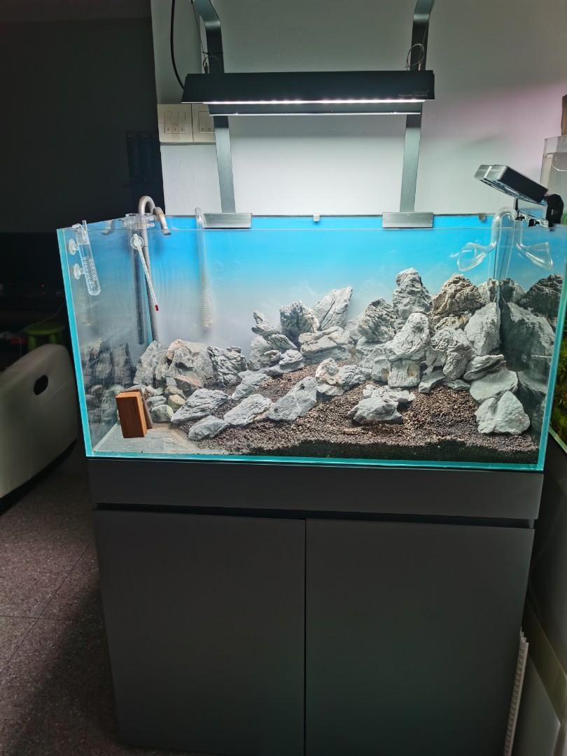 3ft fish tank with cabinet oase canister chihiros eheim chiller, Pet ...