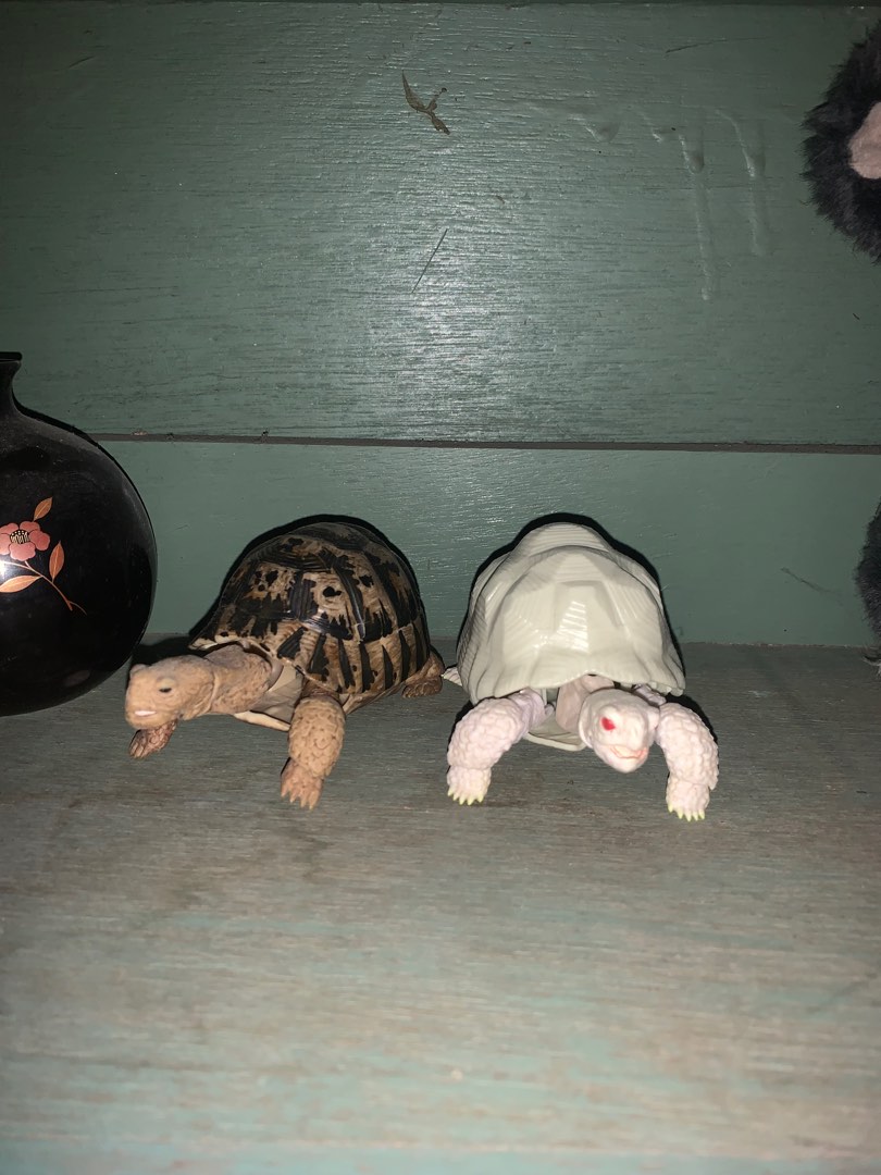 Bandai turtle diorama set (articulated), Hobbies & Toys, Toys & Games ...