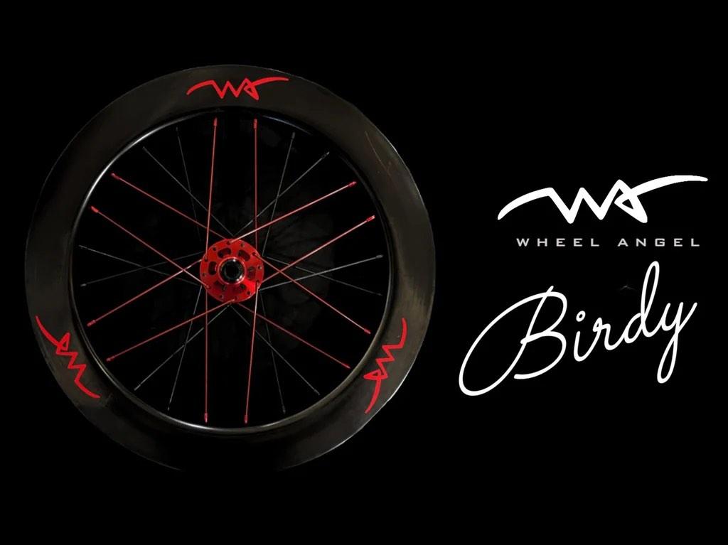 Birdy Wheel Angel Carbon Wheelset with Ridea Hub, Sports Equipment ...