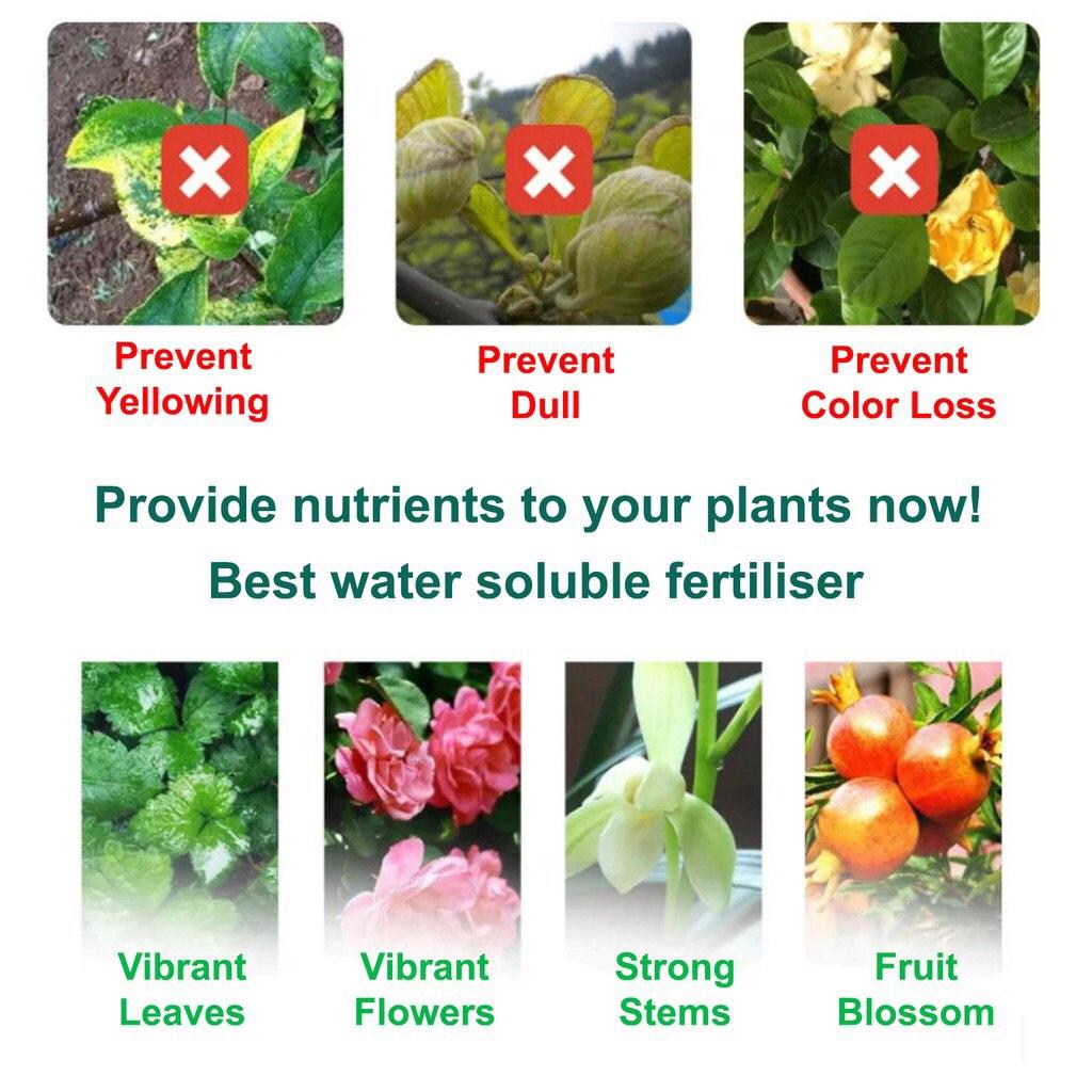 Fast Action NPK 20-20-20/Fertilizer for Fast Plants Growth& Flowering ...