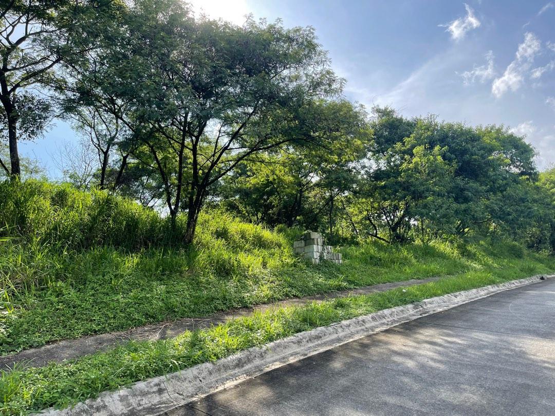 Overlooking lot for sale in Rizal Forest Farms Havila Angono Rizal ...