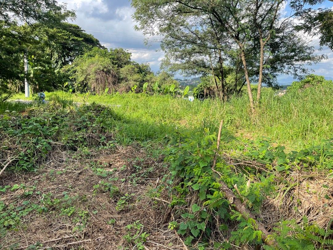 Forest Farms Havila Angono Rizal, Property, For Sale, Lot on Carousell