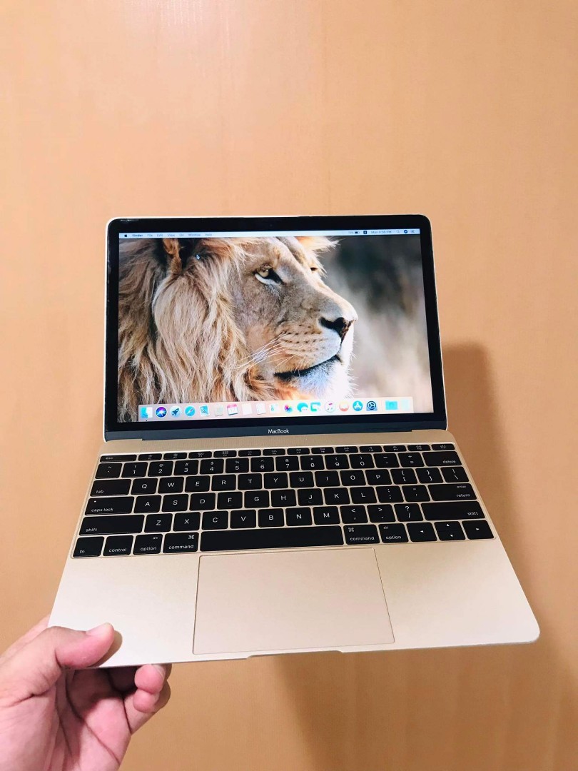 MacBook (Retina, 12-Inch Early 2016) 8 GB 256 SSD Os Catalina Cc 426% ...