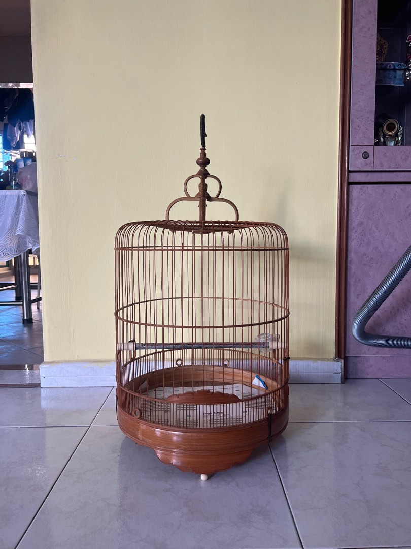 magpie cage, Pet Supplies, Homes & Other Pet Accessories on Carousell