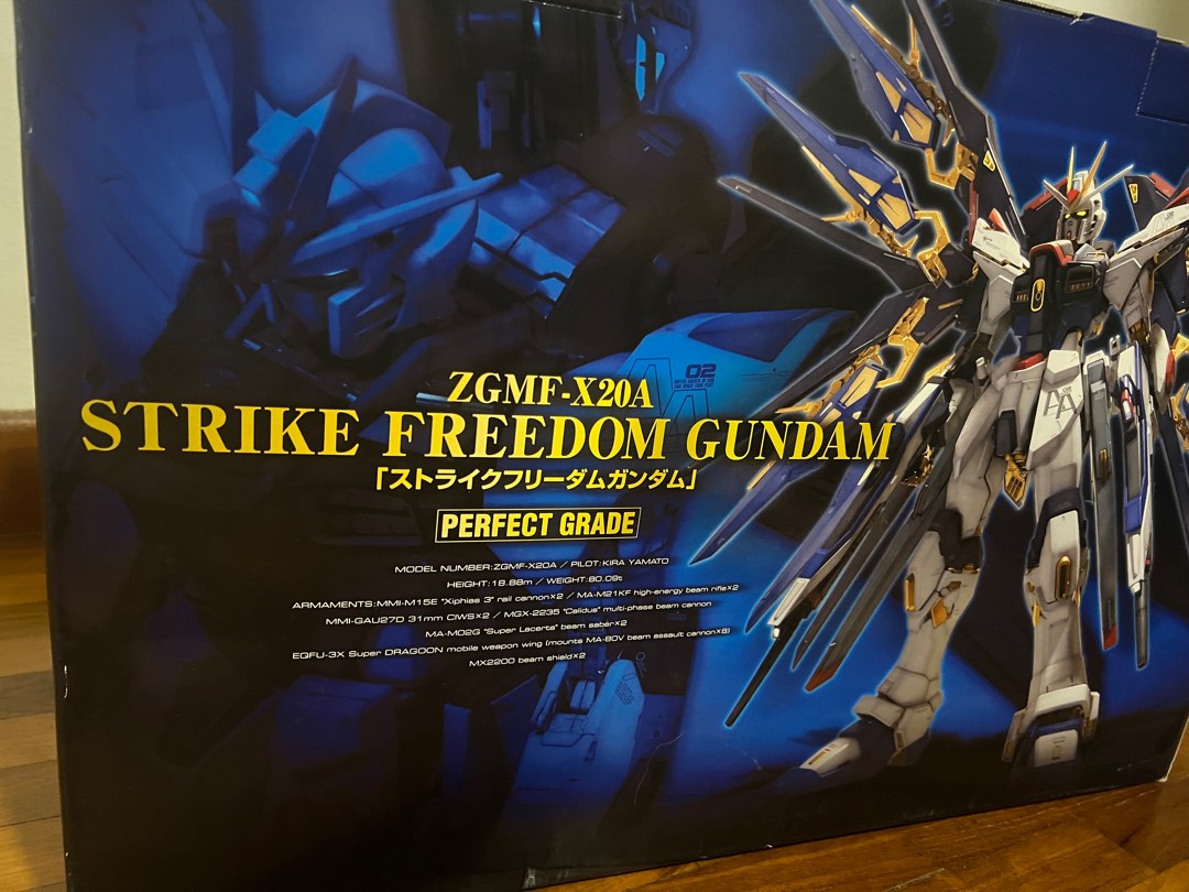 PG Strike Freedom Gundam ZGMF-X20A, Hobbies & Toys, Toys & Games on ...