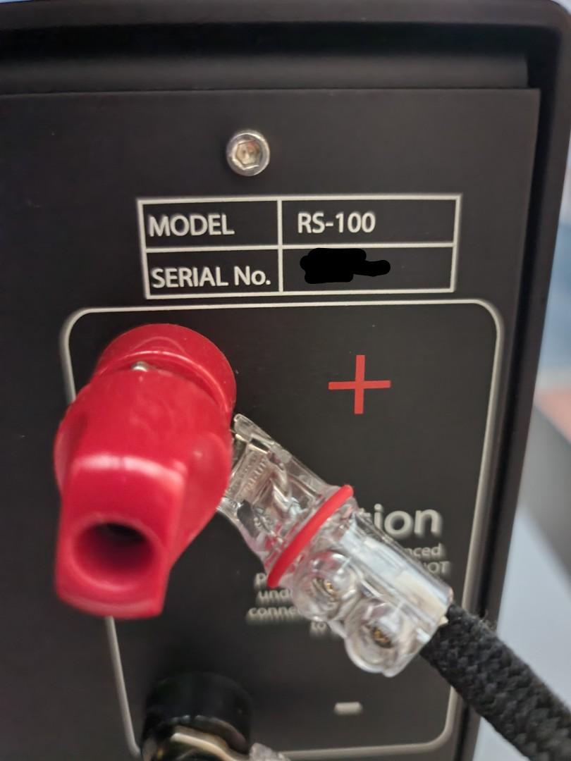 Vitus audio RL-101 & RS-100, Audio, Soundbars, Speakers & Amplifiers on Carousell