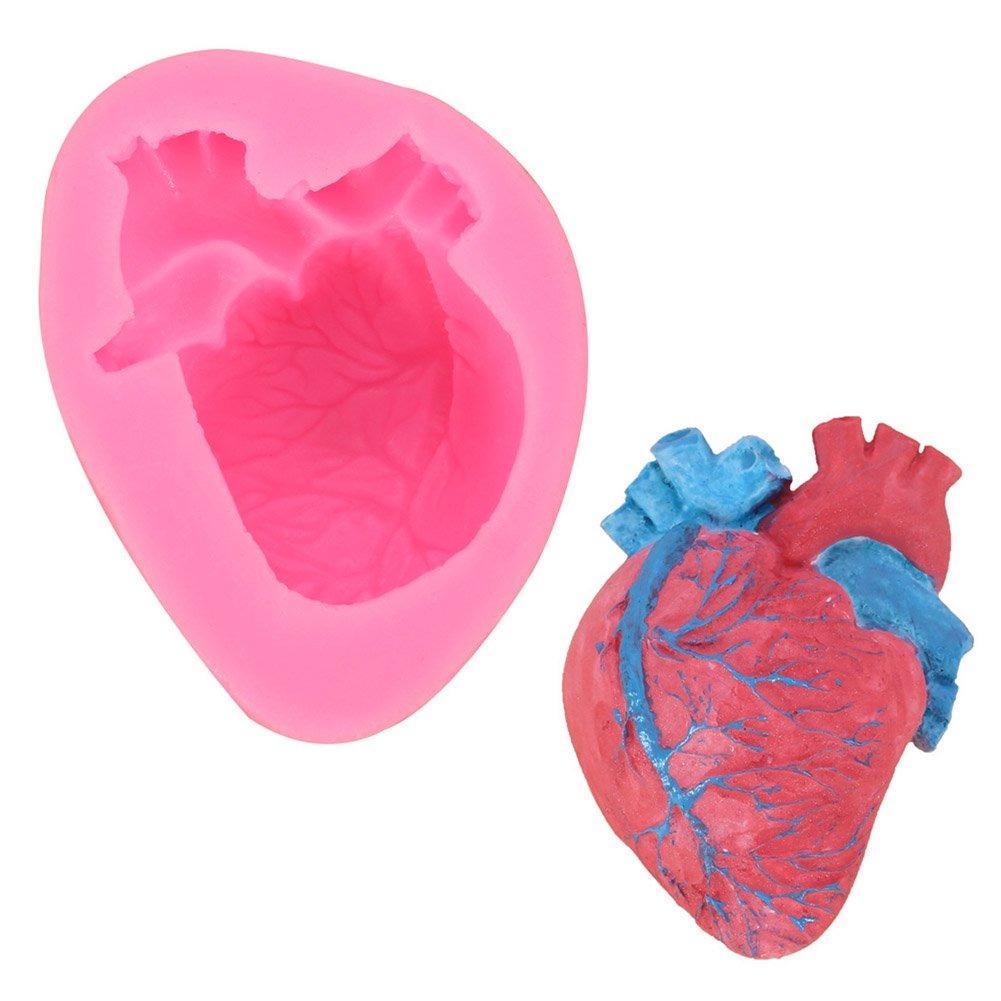3D Human Heart Silicone Mold, Furniture & Home Living, Kitchenware ...