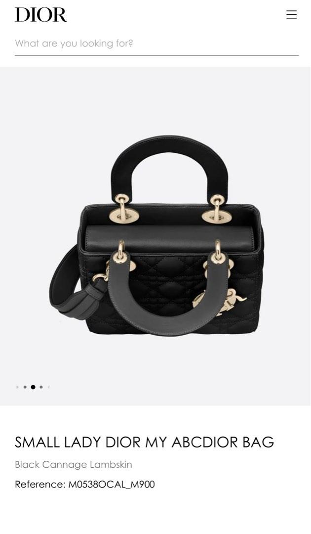 ABC Lady Dior ( BN from boutique), Luxury, Bags & Wallets on Carousell