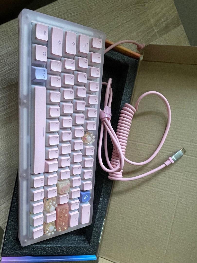 Akko acrylic 64 mechanical keyboard set, Computers & Tech, Parts ...