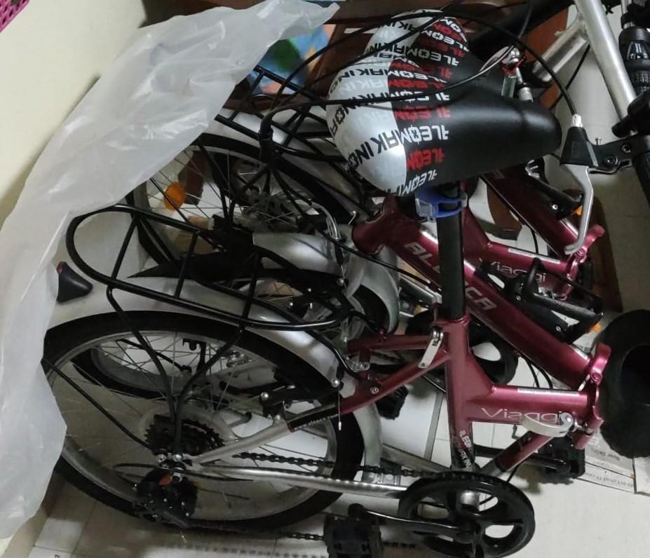 Aleoca 20inch Viaggi Folding Bike with Shimano Gear, Sports Equipment ...