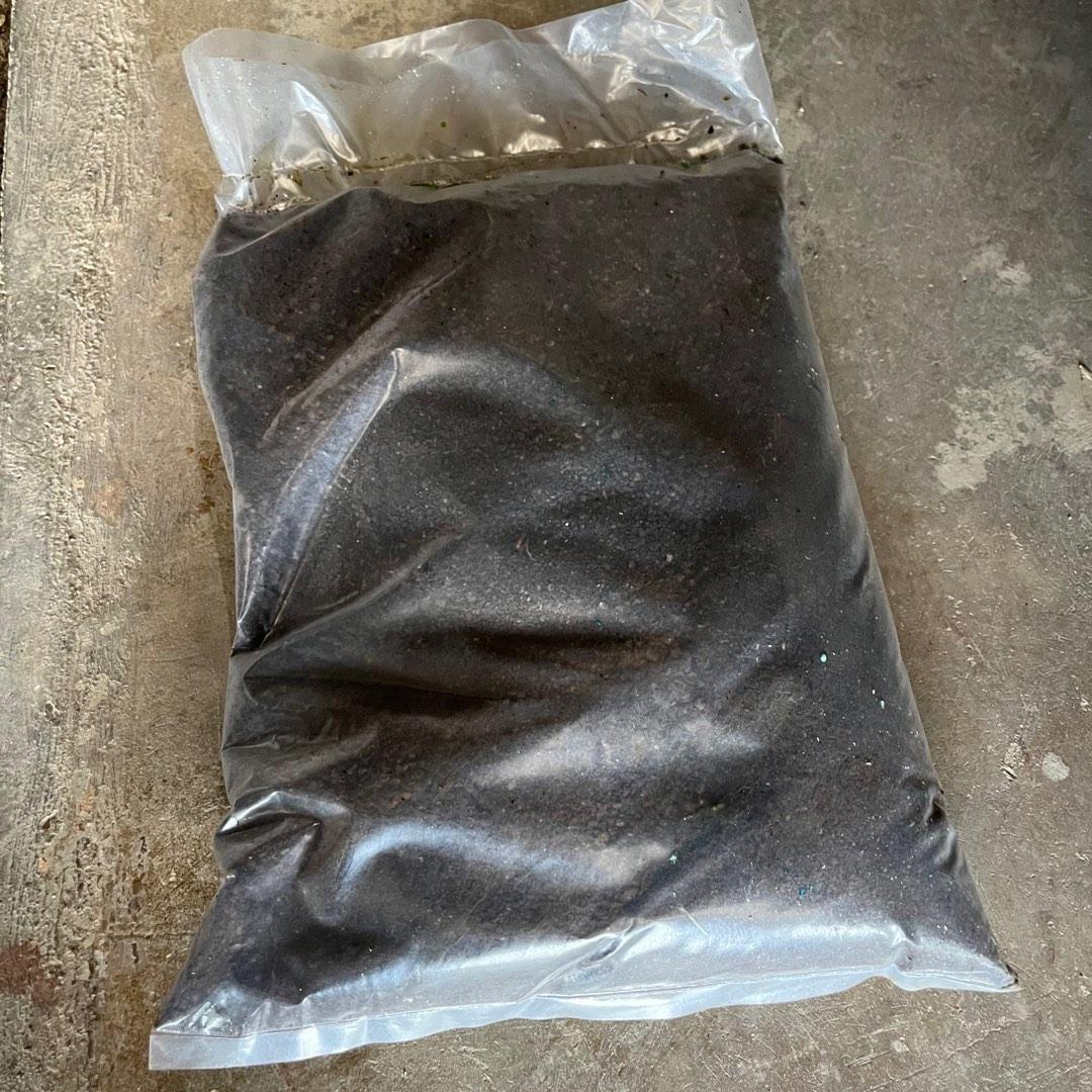 Black-bone-powder (Fertilizer)(2.5kg), Furniture & Home Living ...