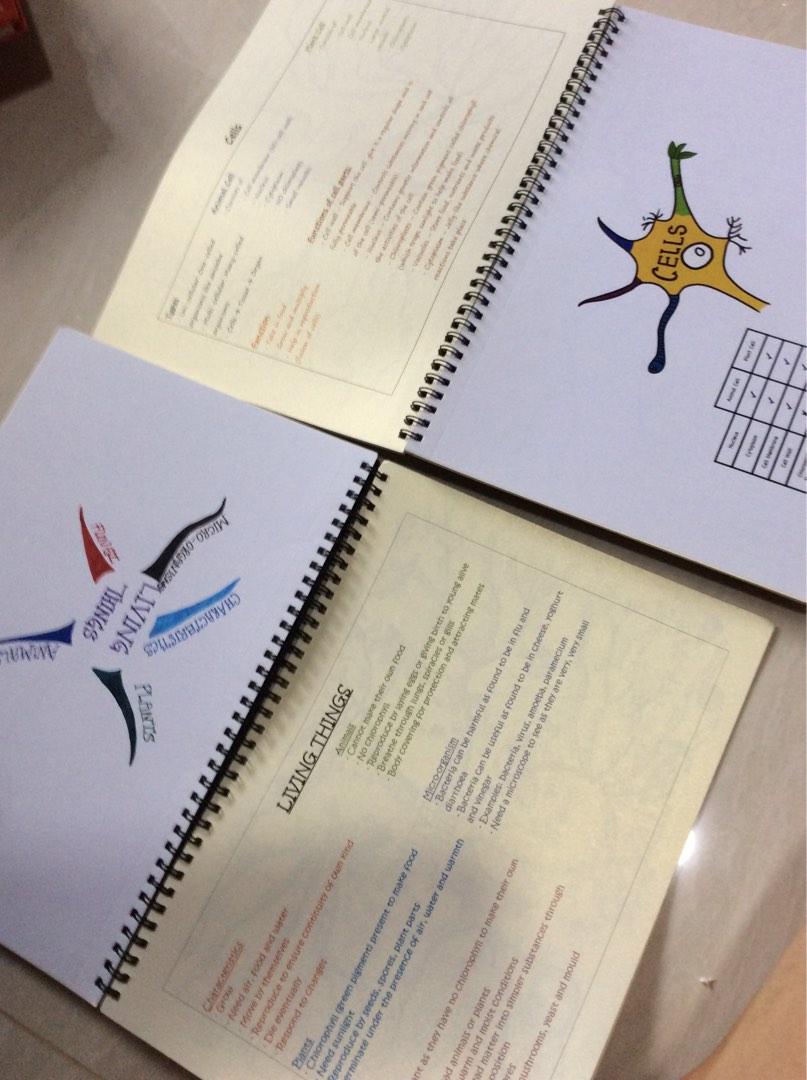 PSLE science mind maps / sketchnotes, Hobbies & Toys, Books & Magazines ...