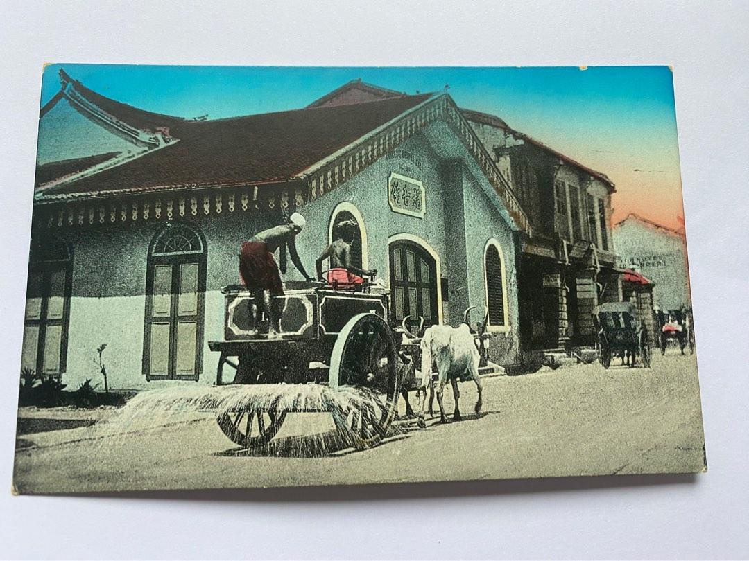 Singapore postcard 1930 bullock water cart at Chinatown mint, Hobbies ...