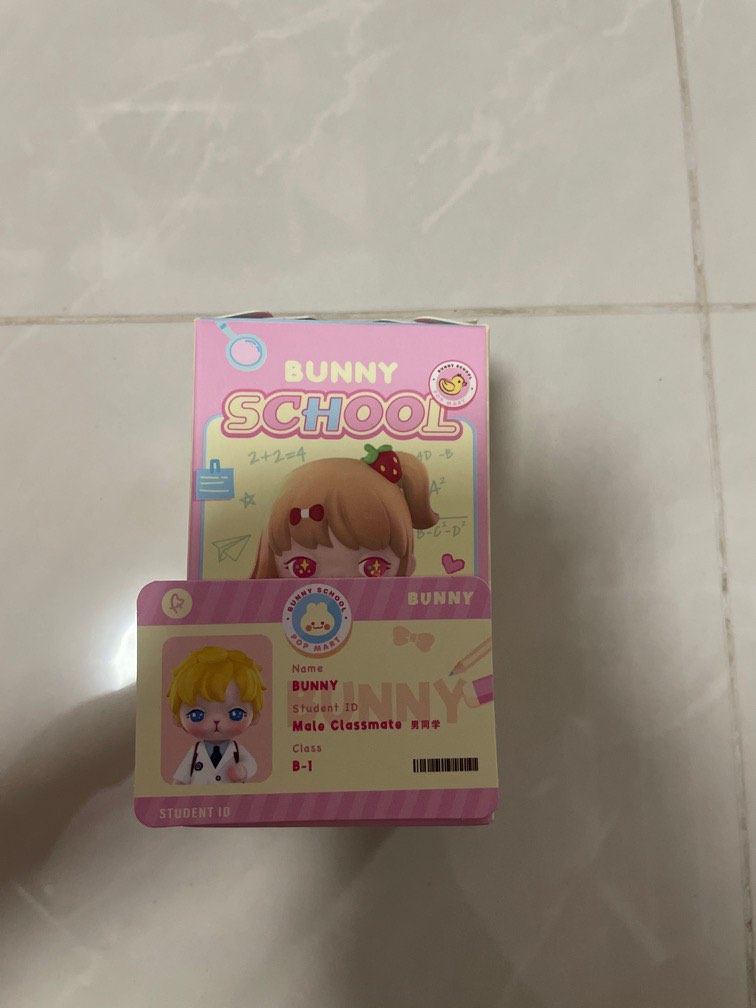 Bunny School Series, Hobbies & Toys, Toys & Games on Carousell