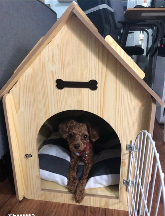 Dog Cage Wooden Aesthetic, Pet Supplies, Homes & Other Pet Accessories ...