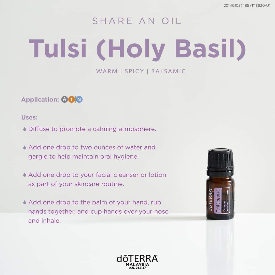 doTERRA Tulsi Holy Basil 5ml Limited Edition, Furniture & Home Living ...