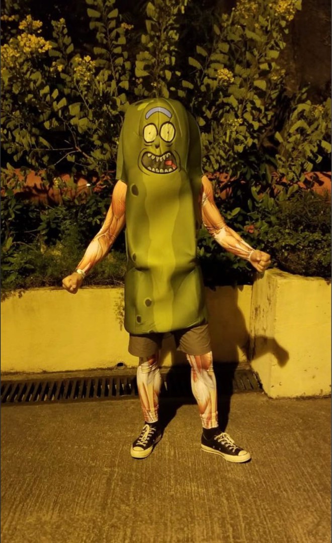Pickle Rick Halloween Costume, 男裝, 外套及戶外衣服 - Carousell