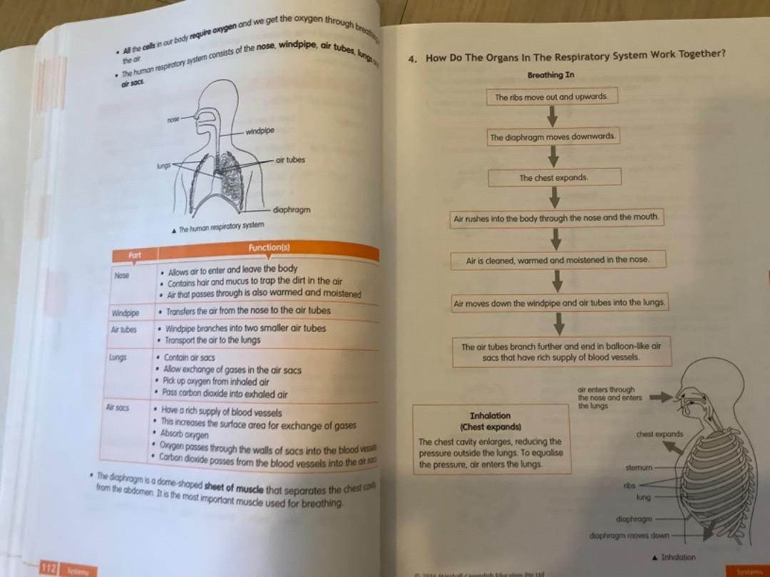 Science PSLE revision guide (3rd Edition), Hobbies & Toys, Books ...