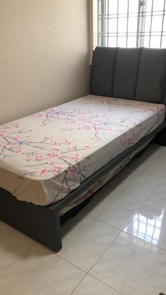 Super single double bed frame, Furniture & Home Living, Furniture, Bed ...