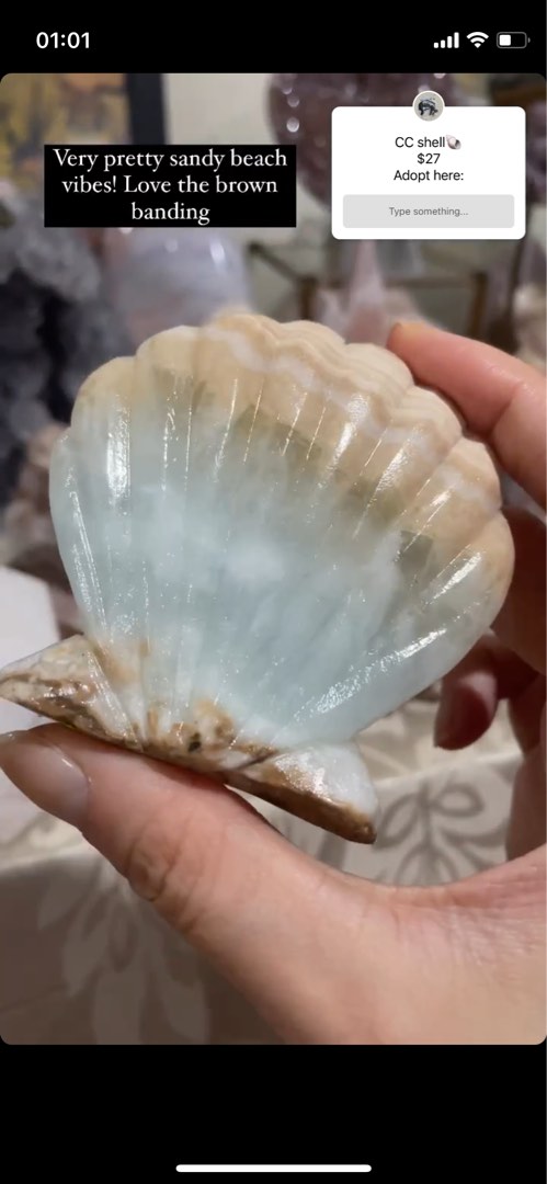 Caribbean Calcite Shell Carving, Furniture & Home Living, Home Decor, Other Home Decor on Carousell