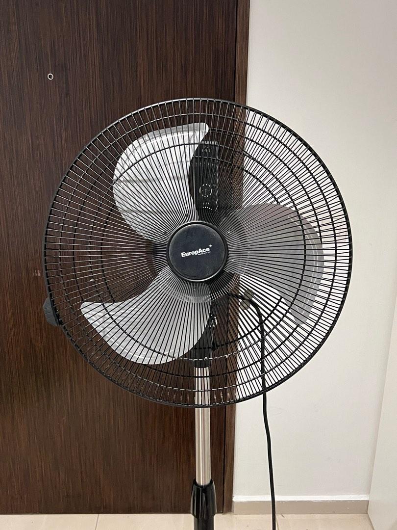 EuroAce Power Oscillating Stand Fan, Furniture & Home Living, Lighting ...