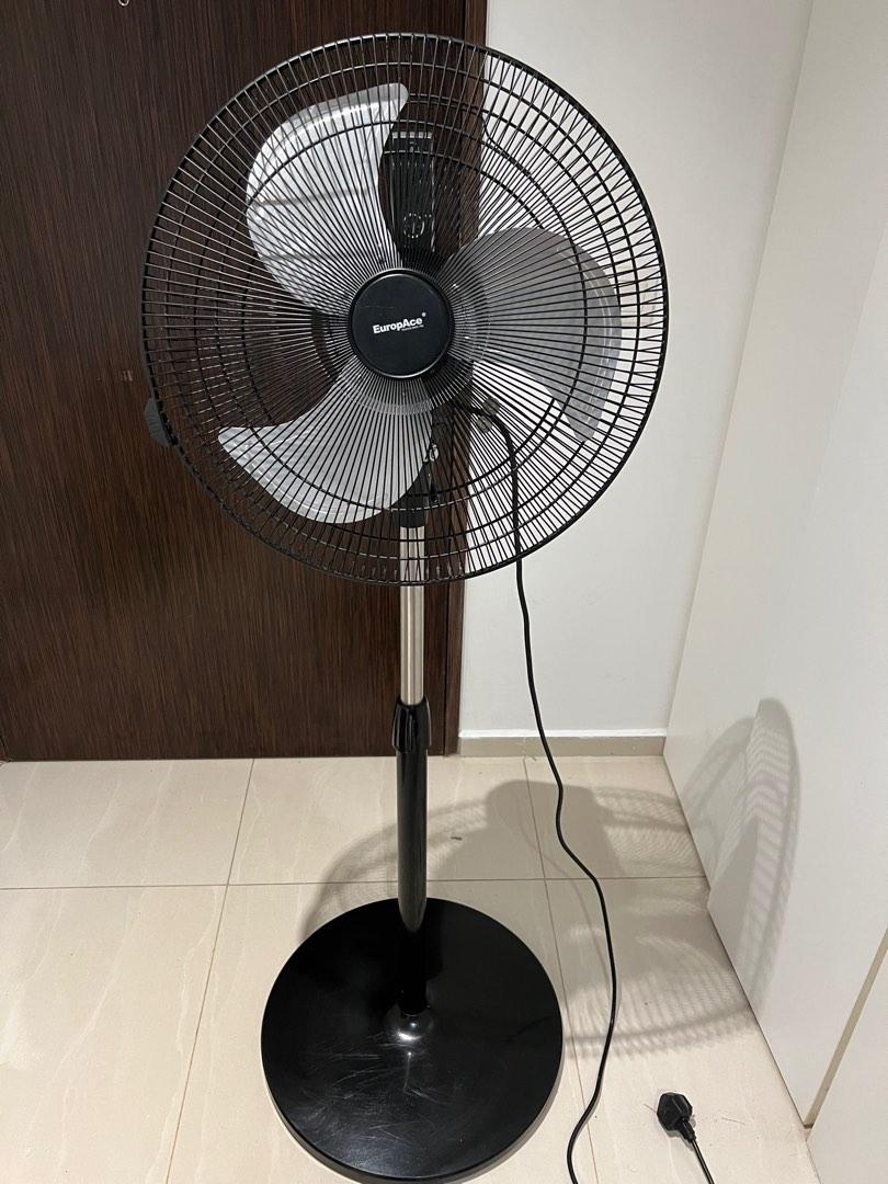 EuroAce Power Oscillating Stand Fan, Furniture & Home Living, Lighting ...