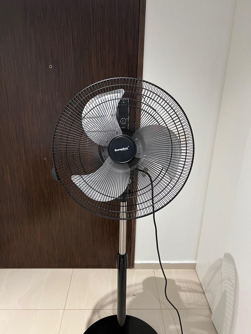 EuroAce Power Oscillating Stand Fan, Furniture & Home Living, Lighting ...