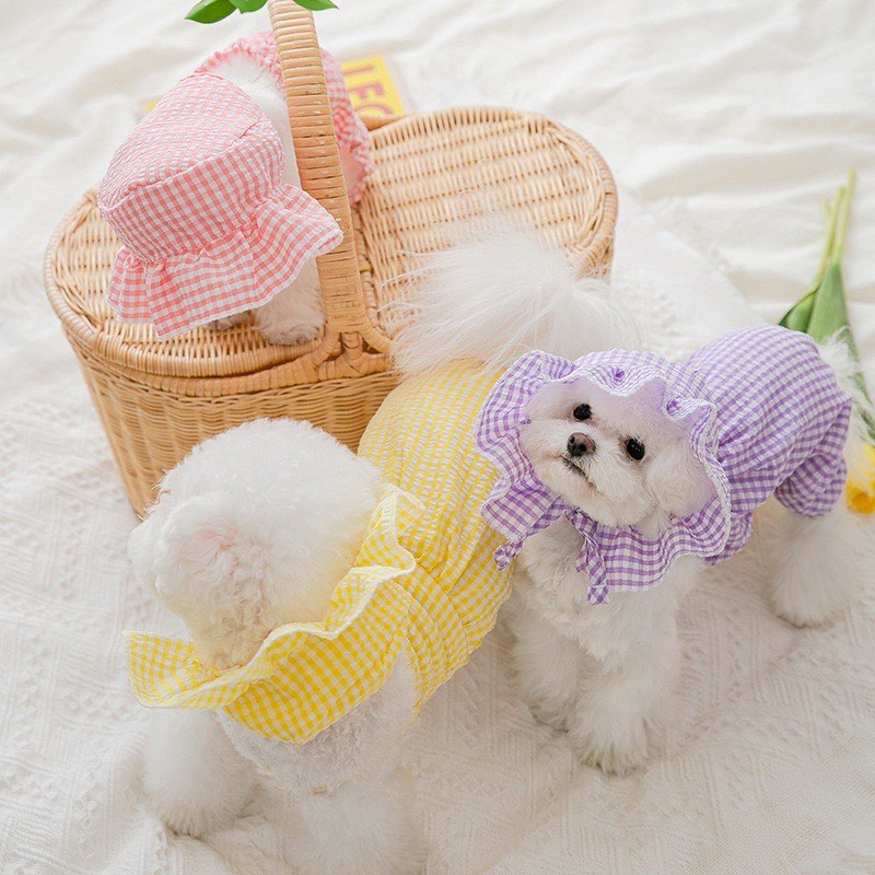 Pet wear aesthetic ootd purple set, Pet Supplies, Homes & Other Pet ...