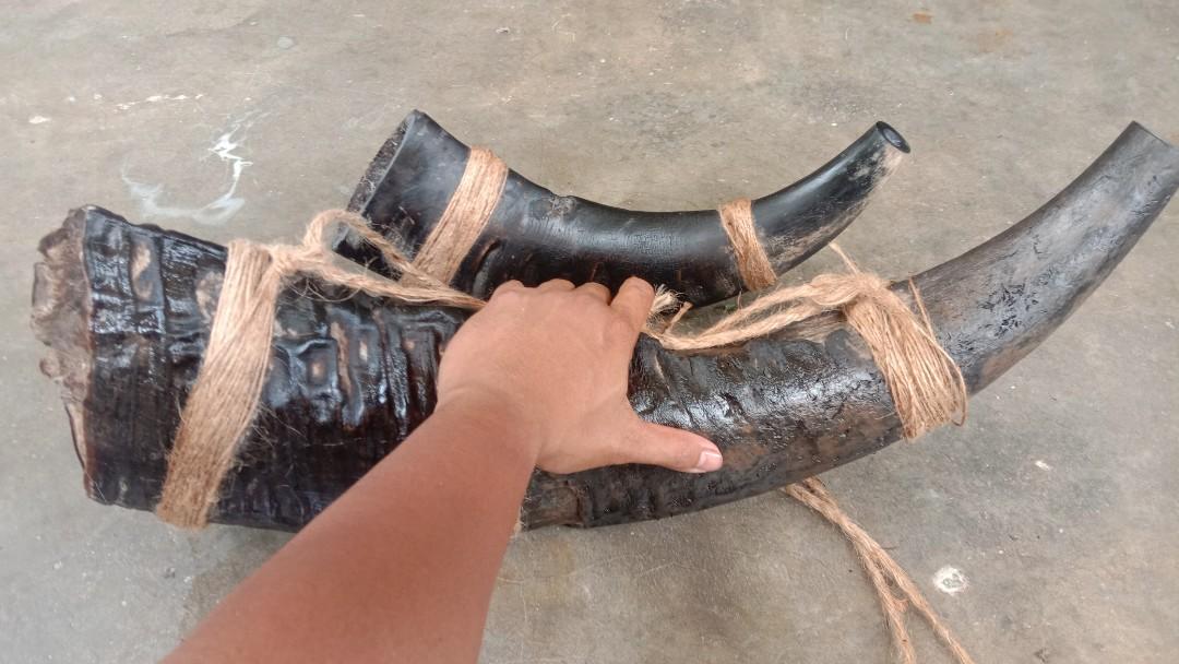 Tetuang tanduk kerbau, Hobbies & Toys, Stationery & Craft, Handmade ...