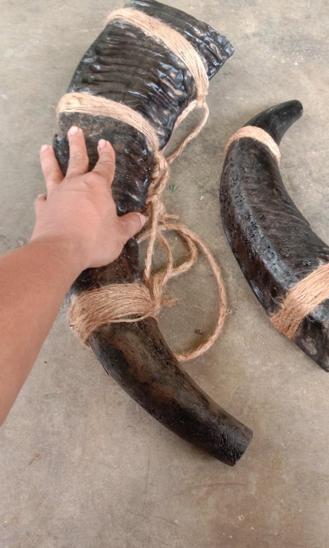 Tetuang tanduk kerbau, Hobbies & Toys, Stationery & Craft, Handmade ...