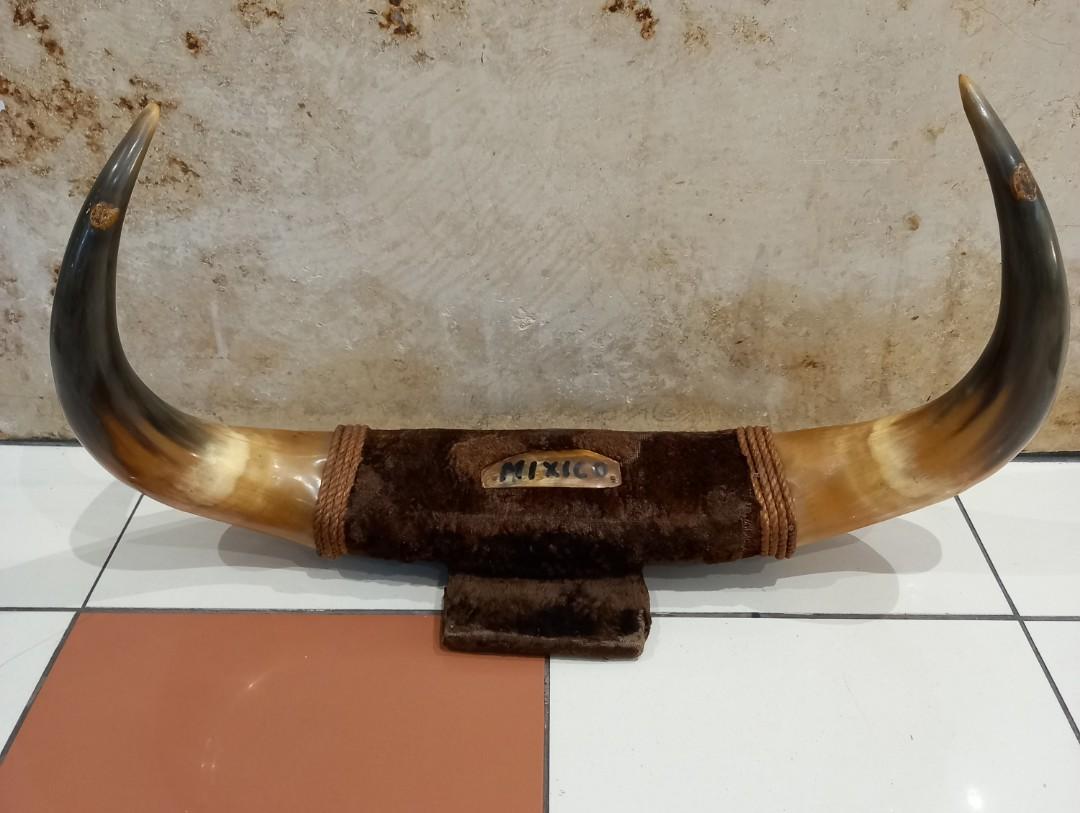Vintage Buffalo Horn...Mexico, Hobbies & Toys, Memorabilia ...