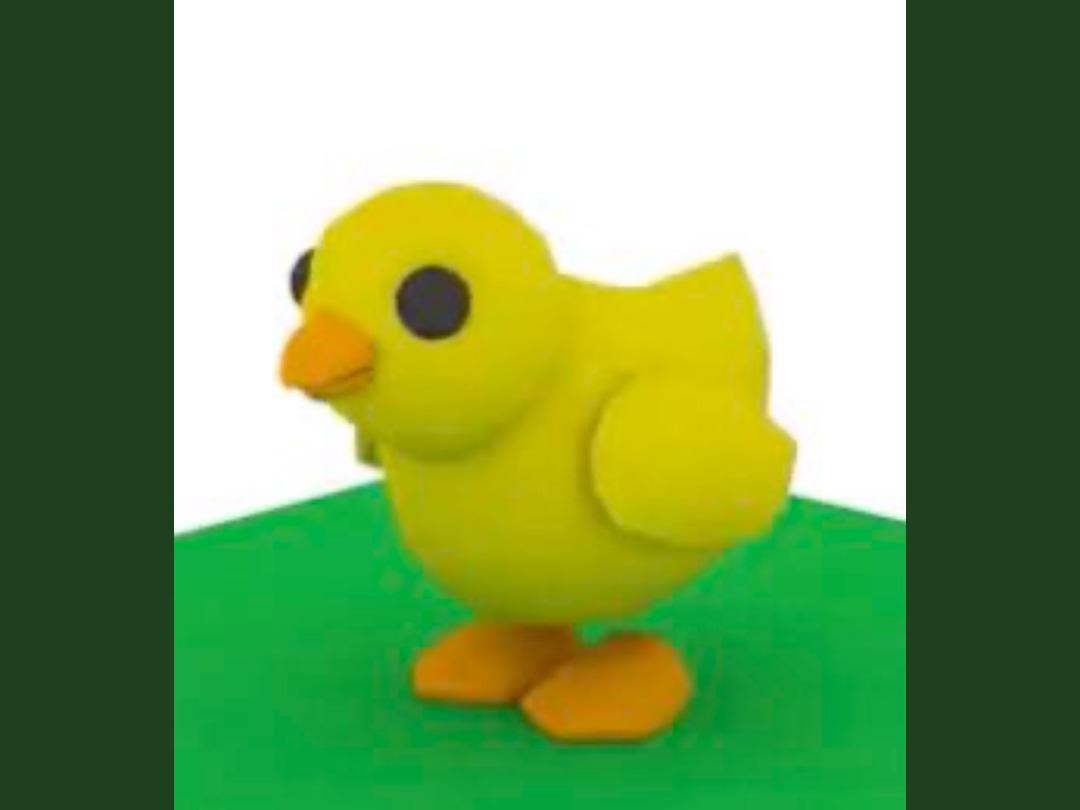 ADOPT ME: CHICK, Video Gaming, Video Games, Others on Carousell