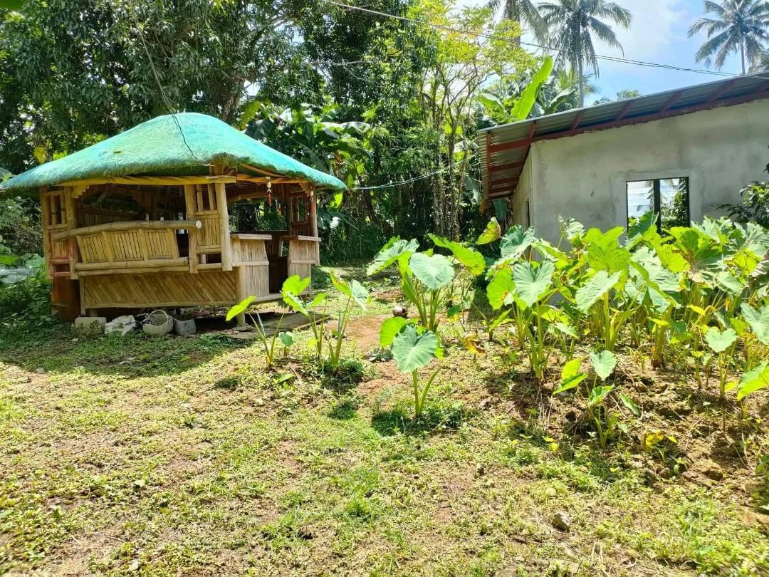 Affordable Farm Lot For Sale E. Aguinaldo( Bailen ), Property, For Sale ...