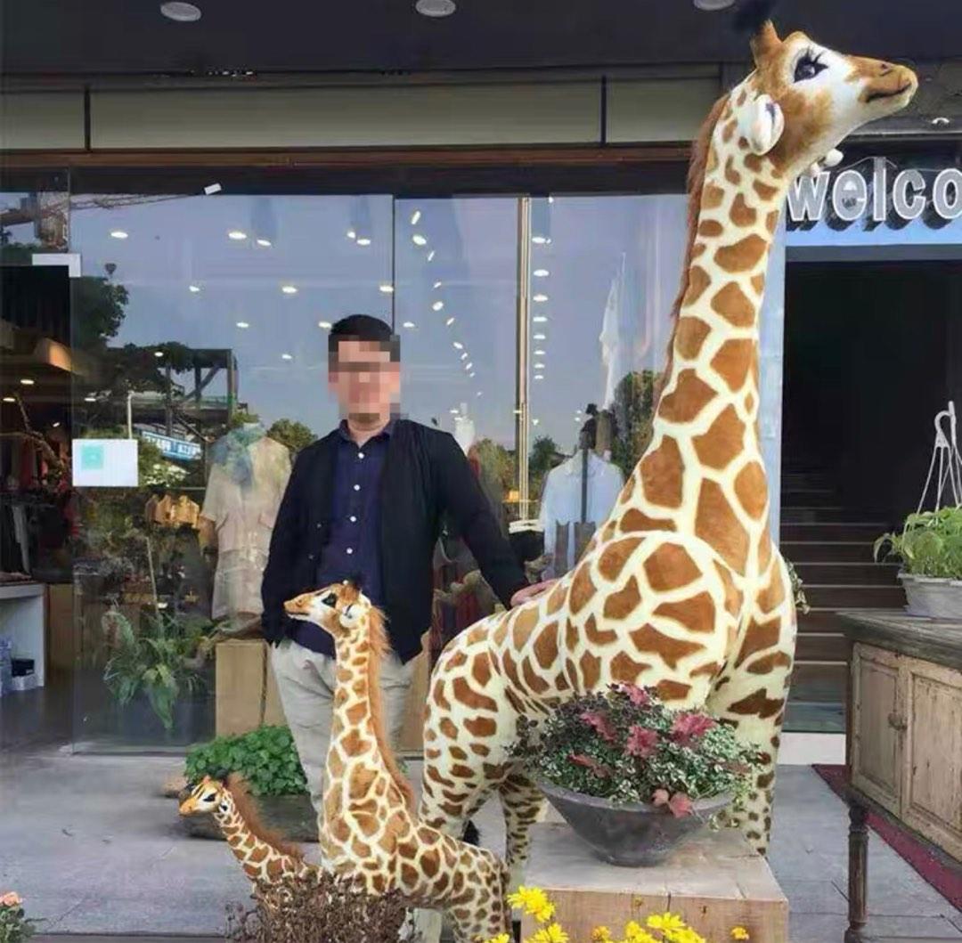 Giraffe Safari Wildlife Stuffed Animal Giant Plush, Hobbies & Toys ...