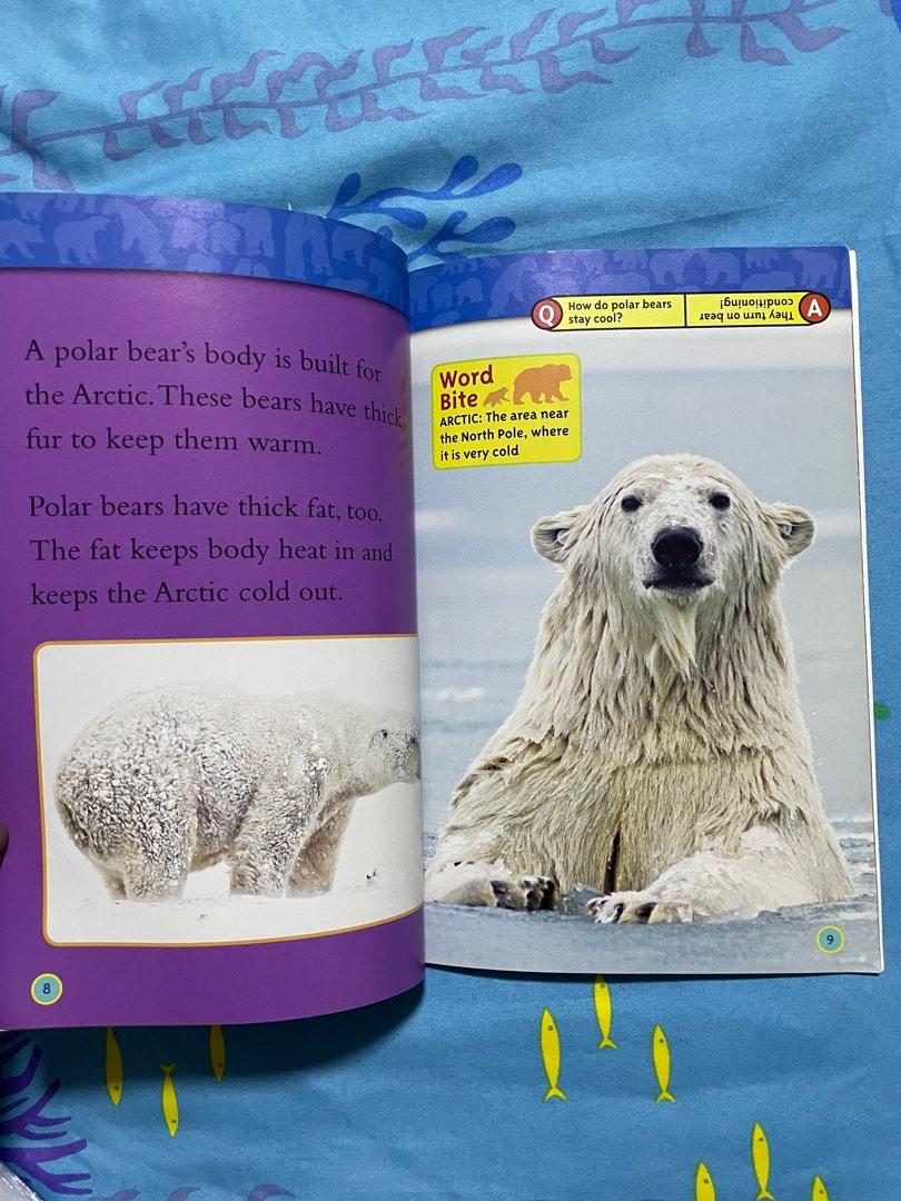 National Geographic Kids - Polar Bears, Hobbies & Toys, Books ...