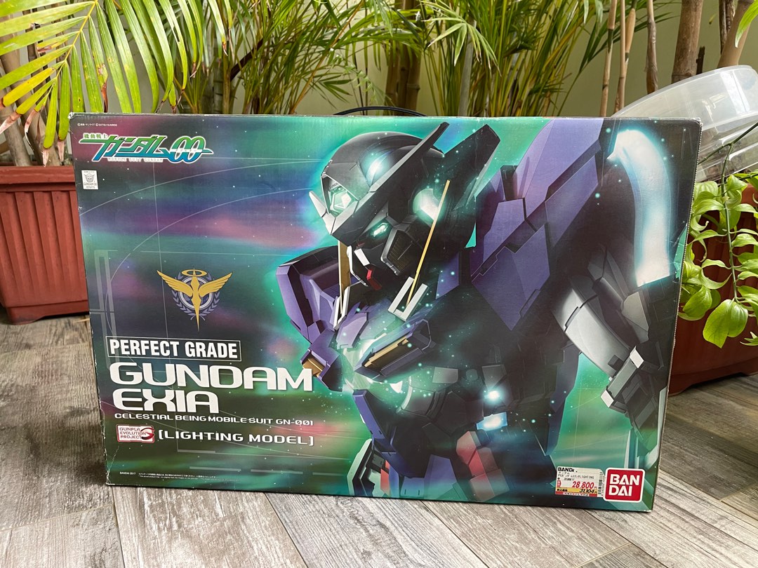 PG Gundam Exia Gunpla (Lighting Model), Hobbies & Toys, Toys & Games on ...