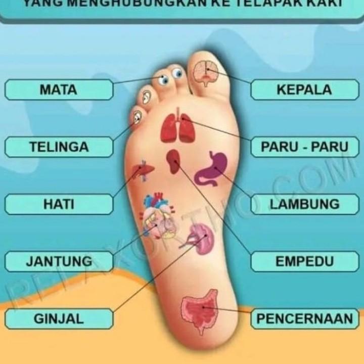 Pijat Massage Andrefleksi Jasa Lainnya Di Carousell