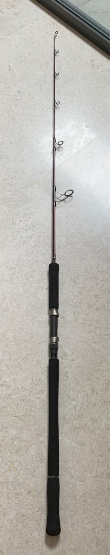 V-TRO Limited Jigging Rod PE3 & 4, Sports Equipment, Fishing on Carousell