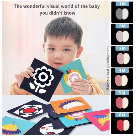 2 pack Visual Stimulus Card Sensory High Contrast Vision Development ...